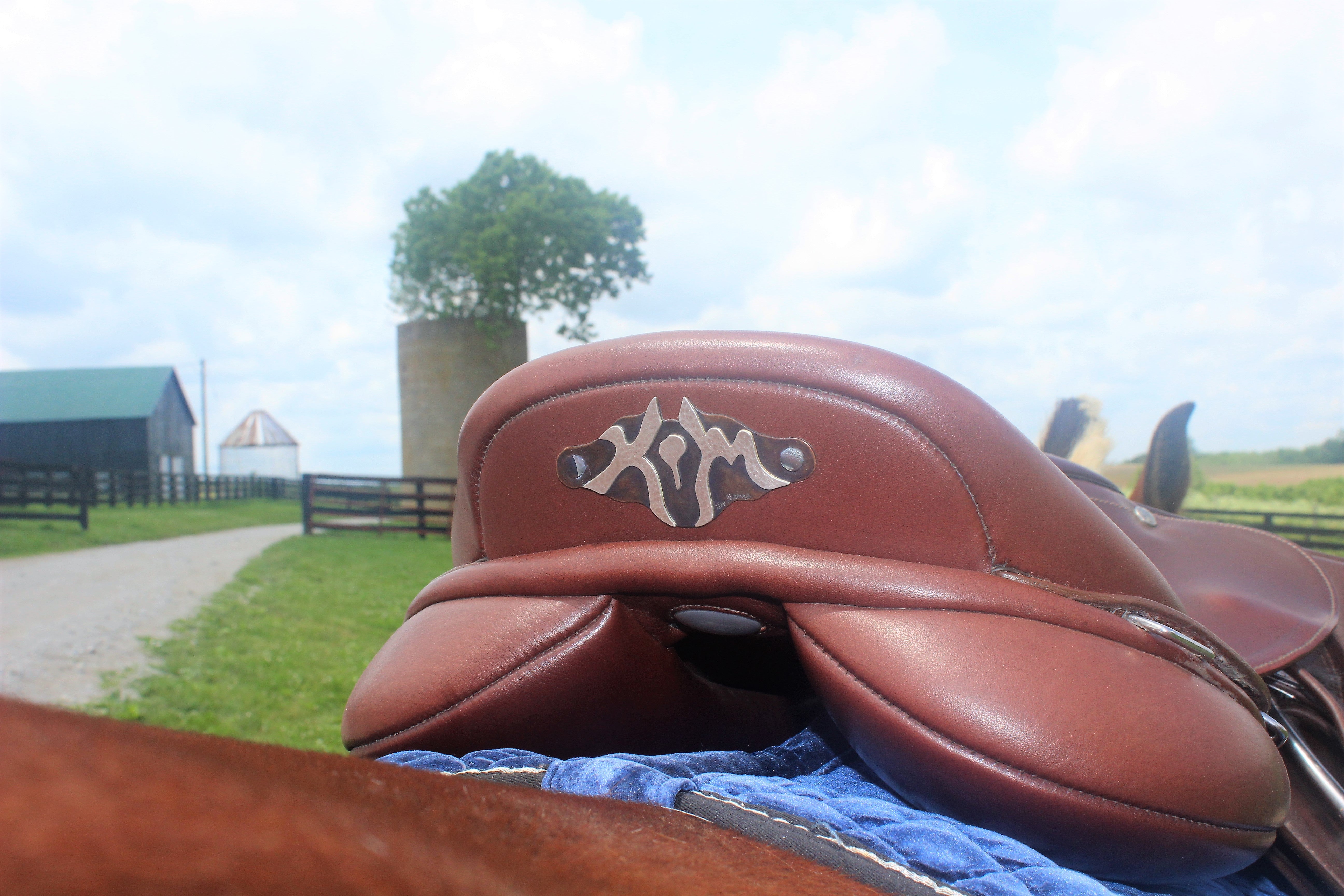 Custom Designed Saddle Plate – BUCKLESBYGEORGE